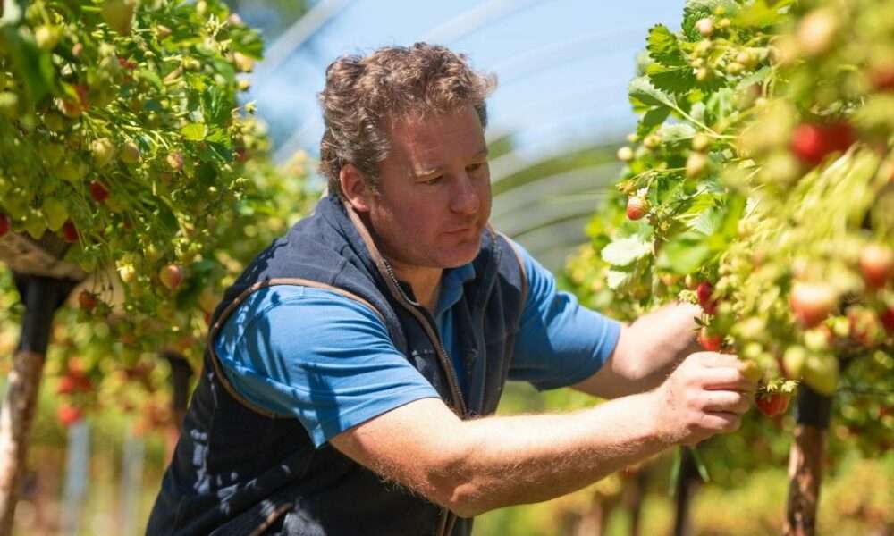 How to Apply for a Canada Farm Job: Step-by-Step Guide for Foreign ...